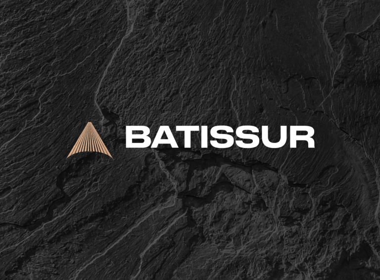 Кейс по проекту Batissur от компании BIDUS DIGITAL